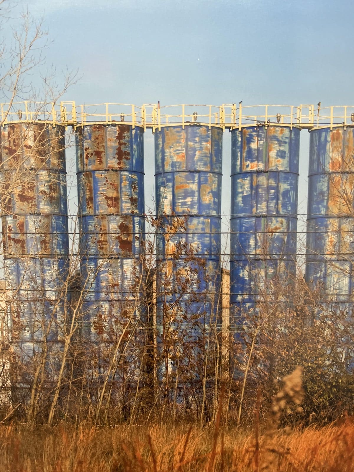 Artist Profiles - Pendleton Art Center